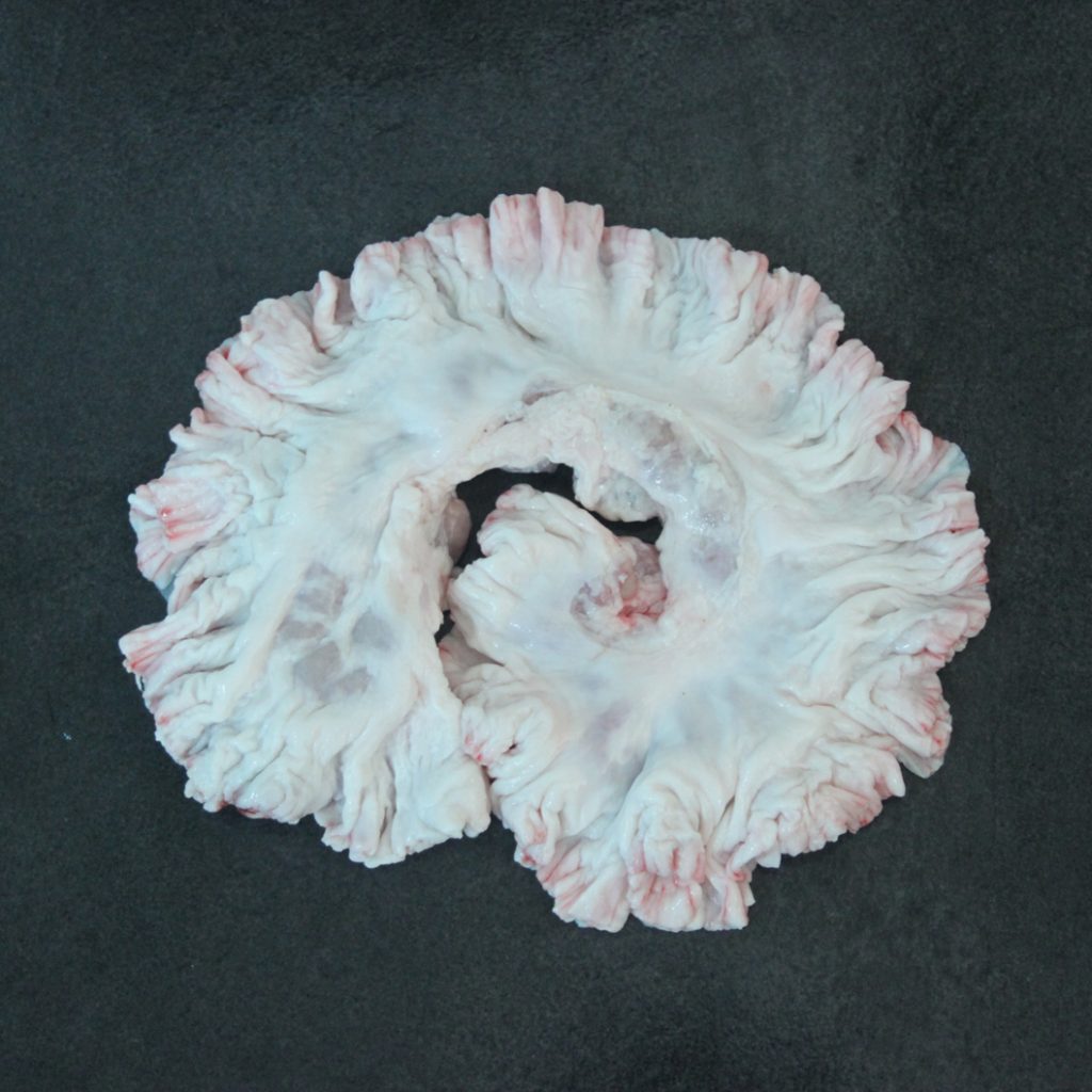 Ruffle Fat – BIG FOOD GROUP CO. LTD