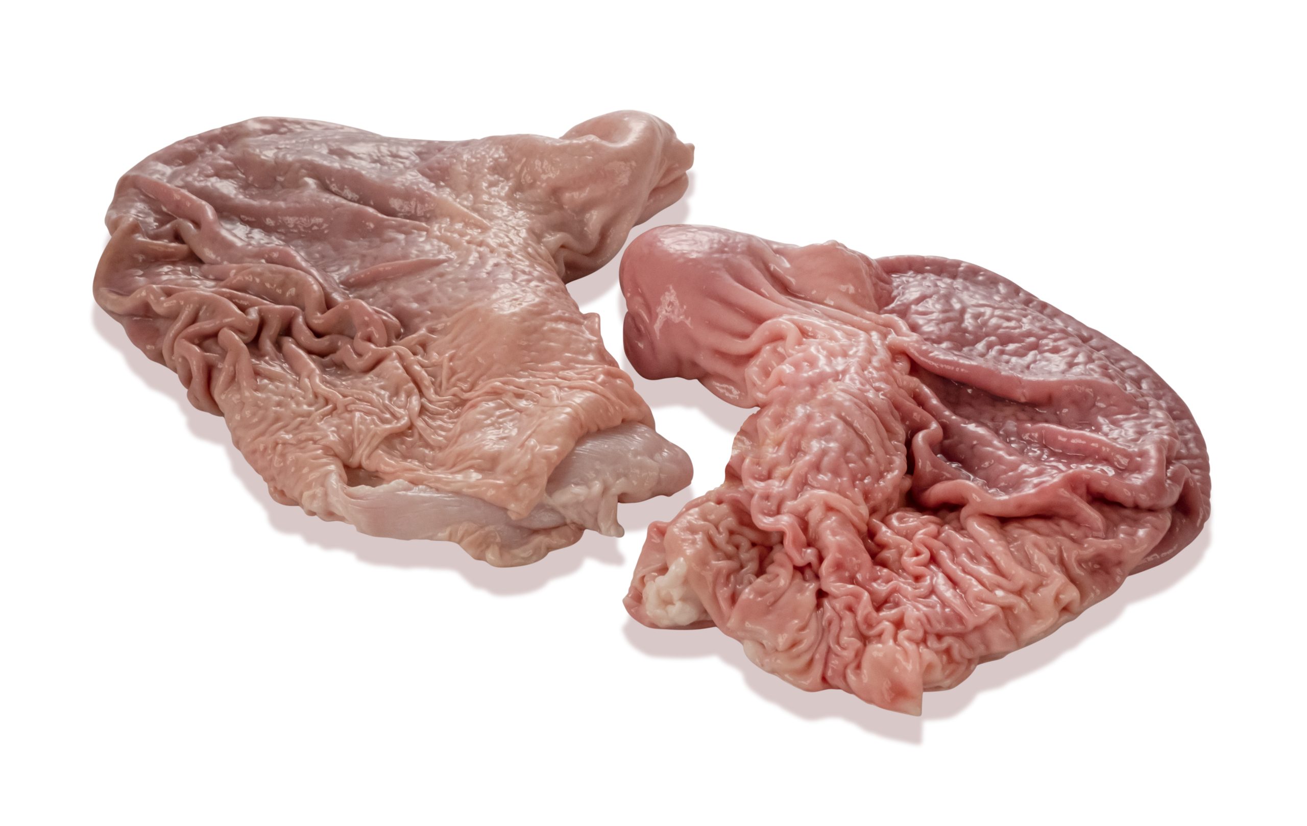 Stomach Pouch – BIG FOOD GROUP CO. LTD