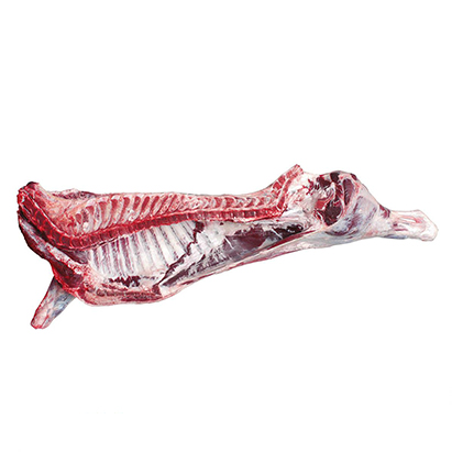 Beef Carcass – BIG FOOD GROUP CO. LTD