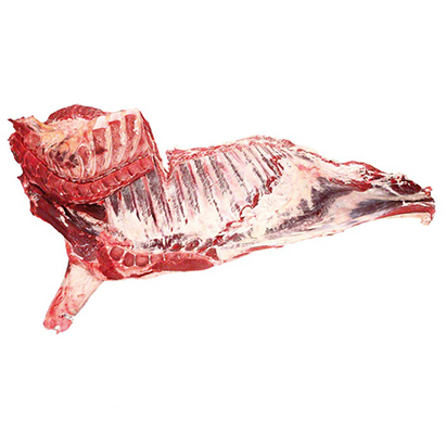 Beef Forequarter – BIG FOOD GROUP CO. LTD